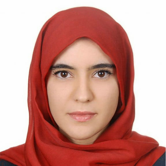 AAASTE — Who We Are